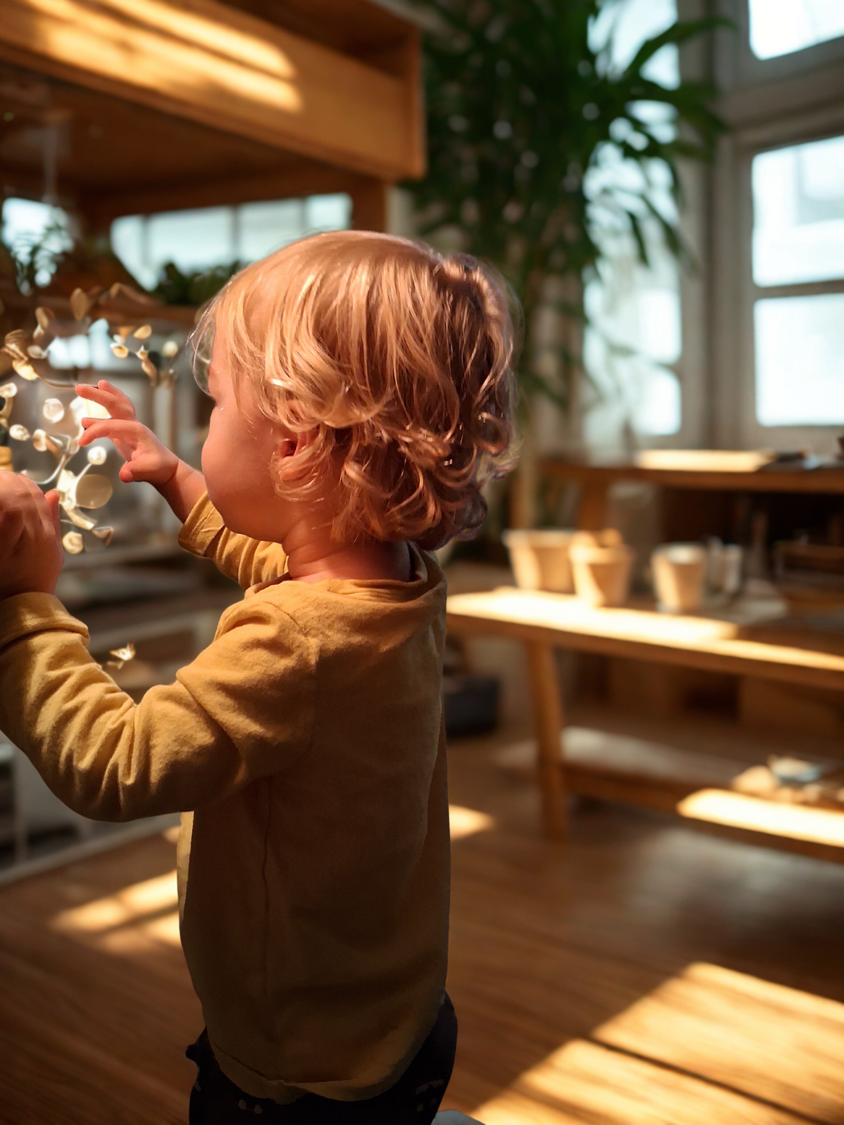 Products – Theo's World